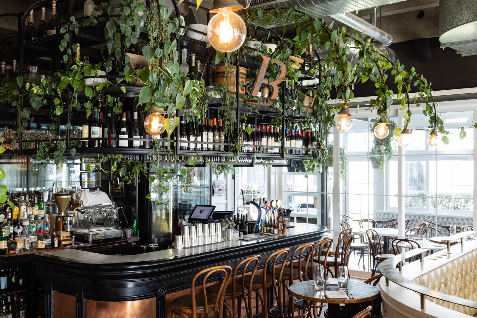 GreenAir Projects - Commercial Greenery Showcases in Auckland, NZ