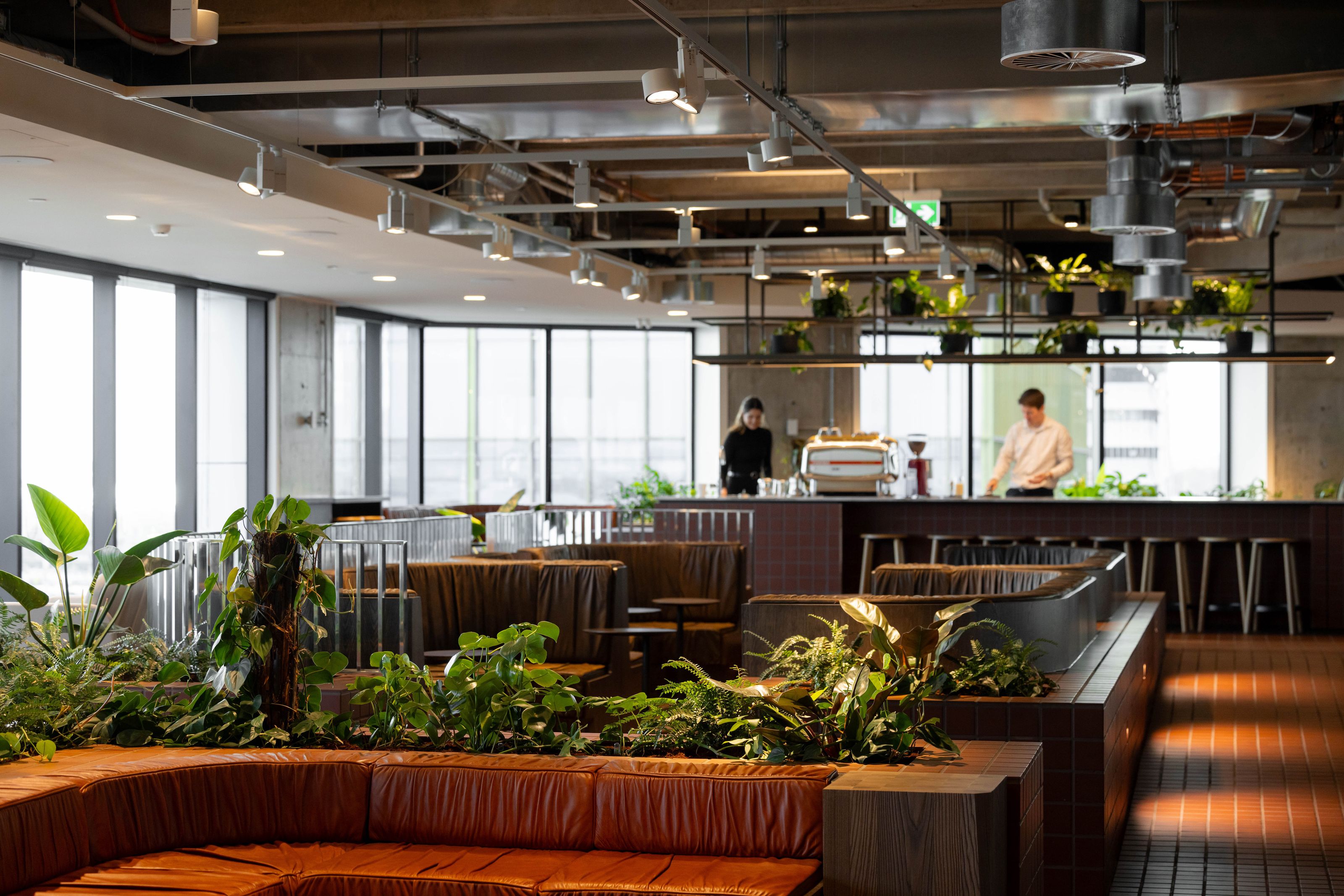 GreenAir Projects - Commercial Greenery Showcases in Auckland, NZ