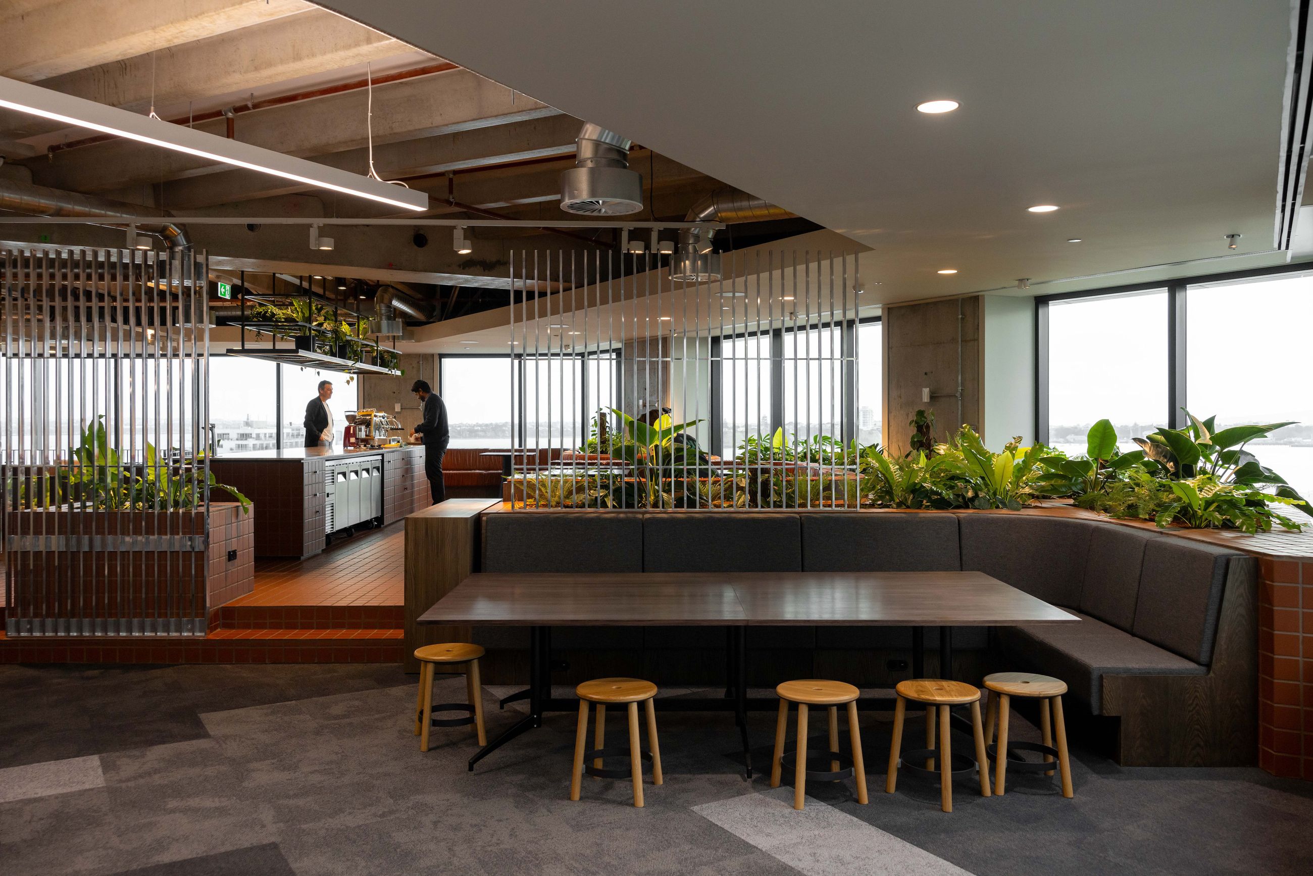 GreenAir Projects - Commercial Greenery Showcases in Auckland, NZ