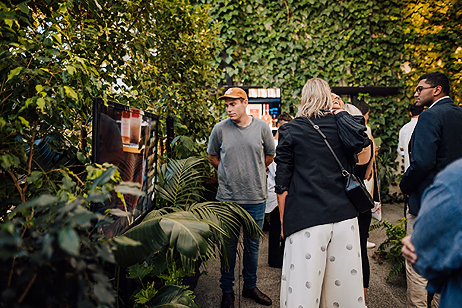 GreenAir Projects - Commercial Greenery Showcases in Auckland, NZ