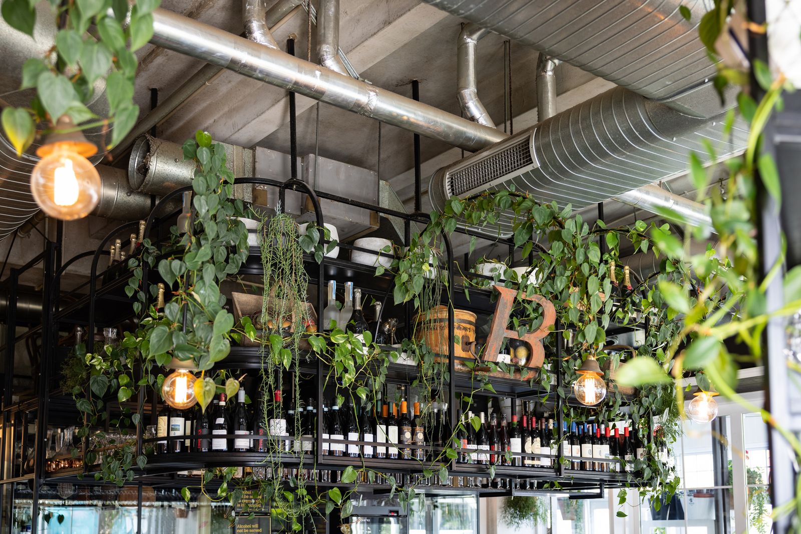 GreenAir Projects - Commercial Greenery Showcases in Auckland, NZ