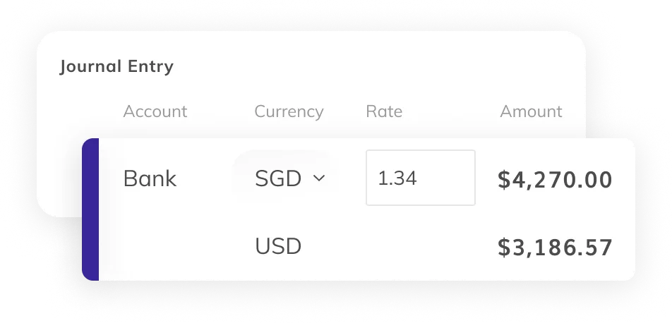 Multi Currency Accounting Solution & Software | Eleven