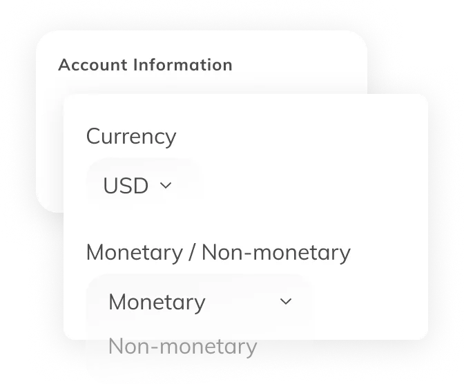Multi Currency Accounting Solution & Software | Eleven