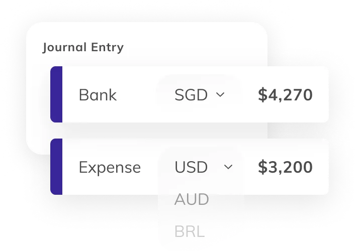 Multi Currency Accounting Solution & Software | Eleven