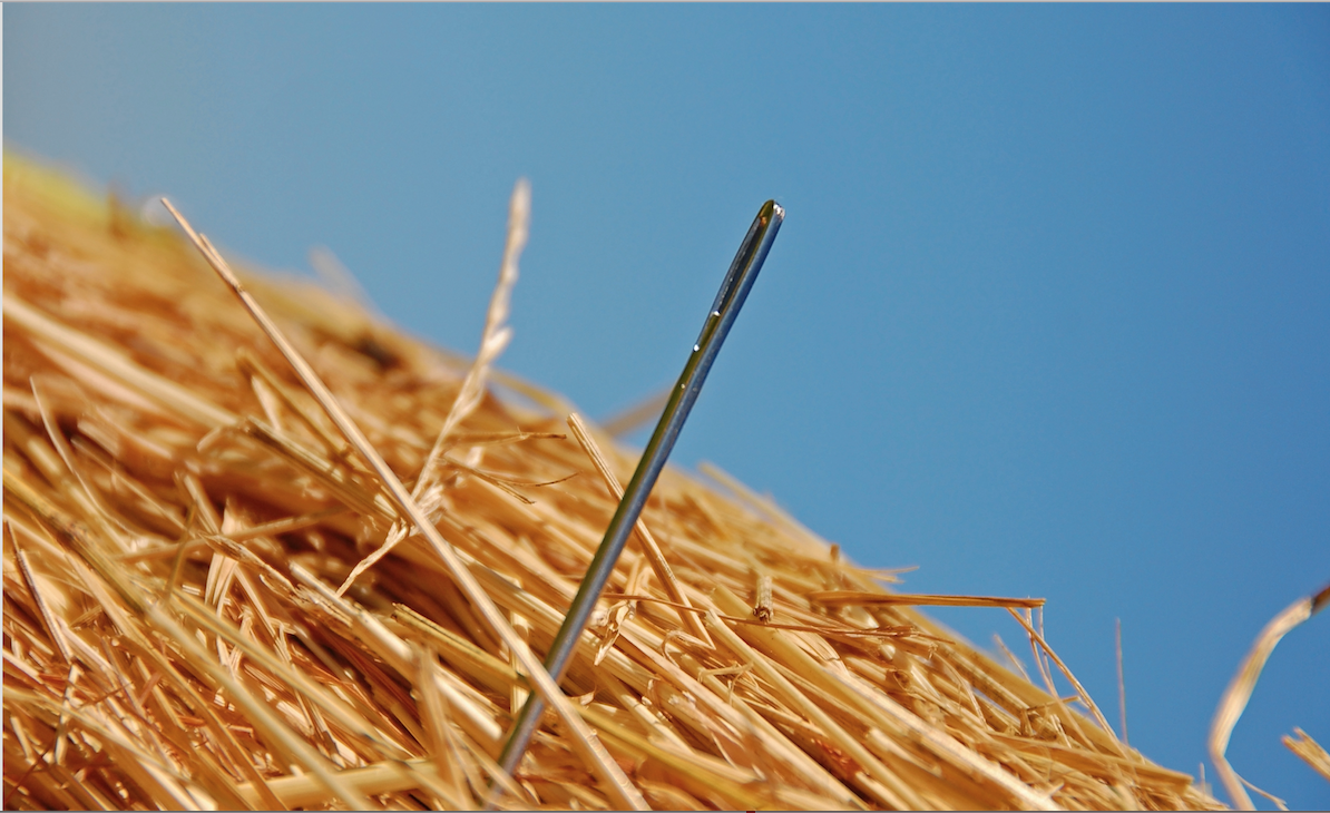 What the most successful venture capitalists do right, according to a Partner at Lightspeed Ventures