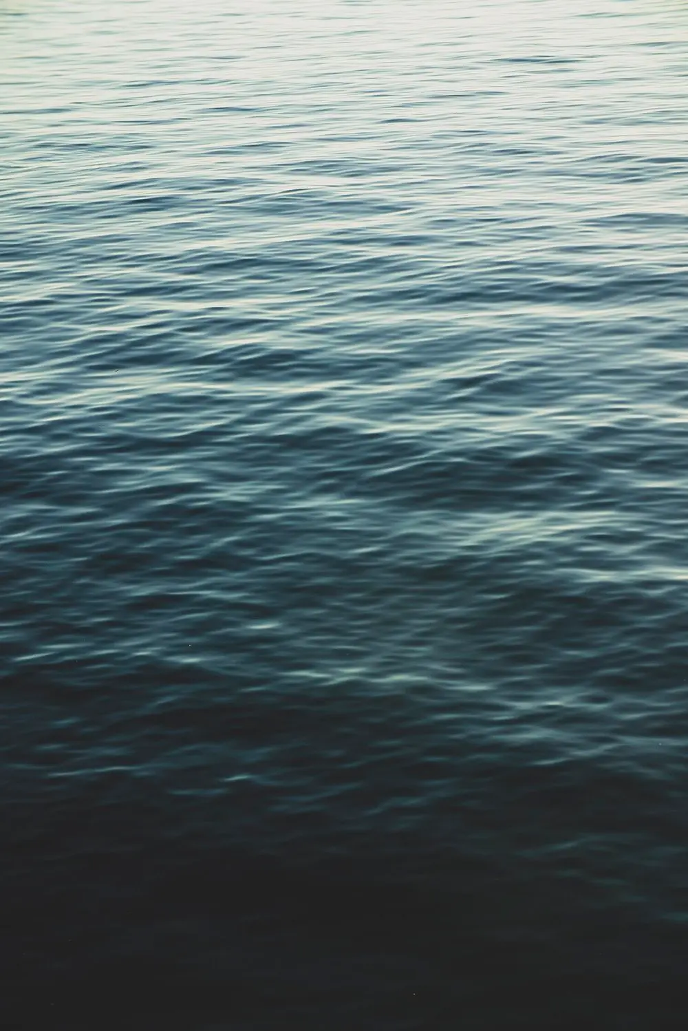 CWA Awarded $300k in EDA Build To Scale Grant Program | Cleveland Water ...