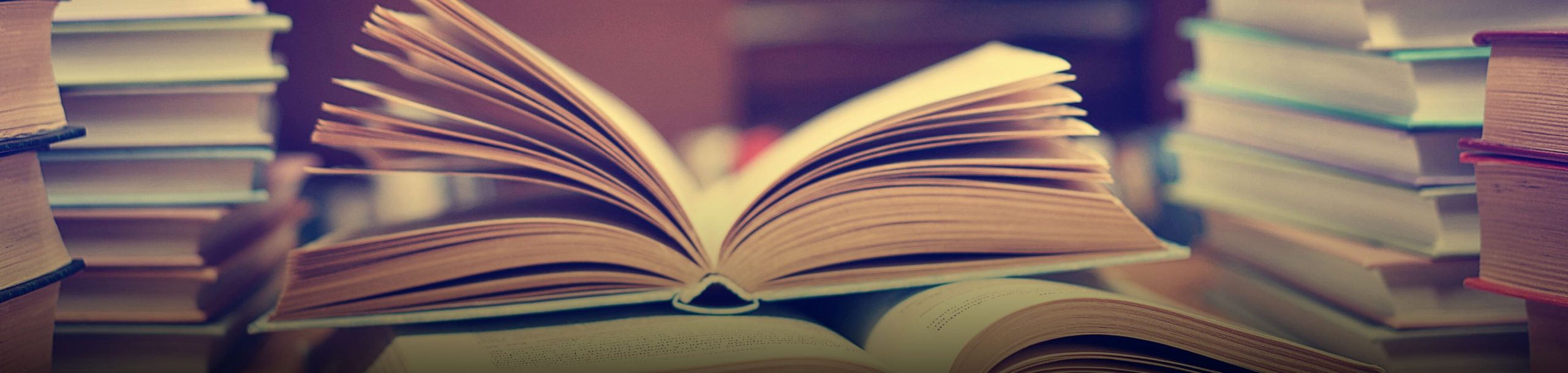 Literature Program at Ave Maria, a Newman Guide Catholic University