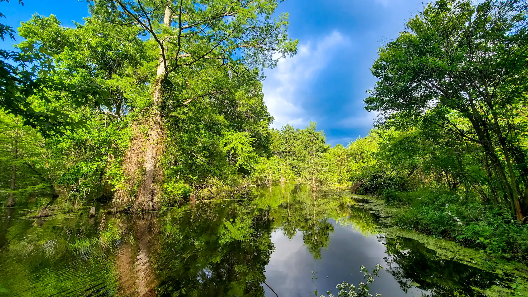 Interactive Map | Wolf River Conservancy