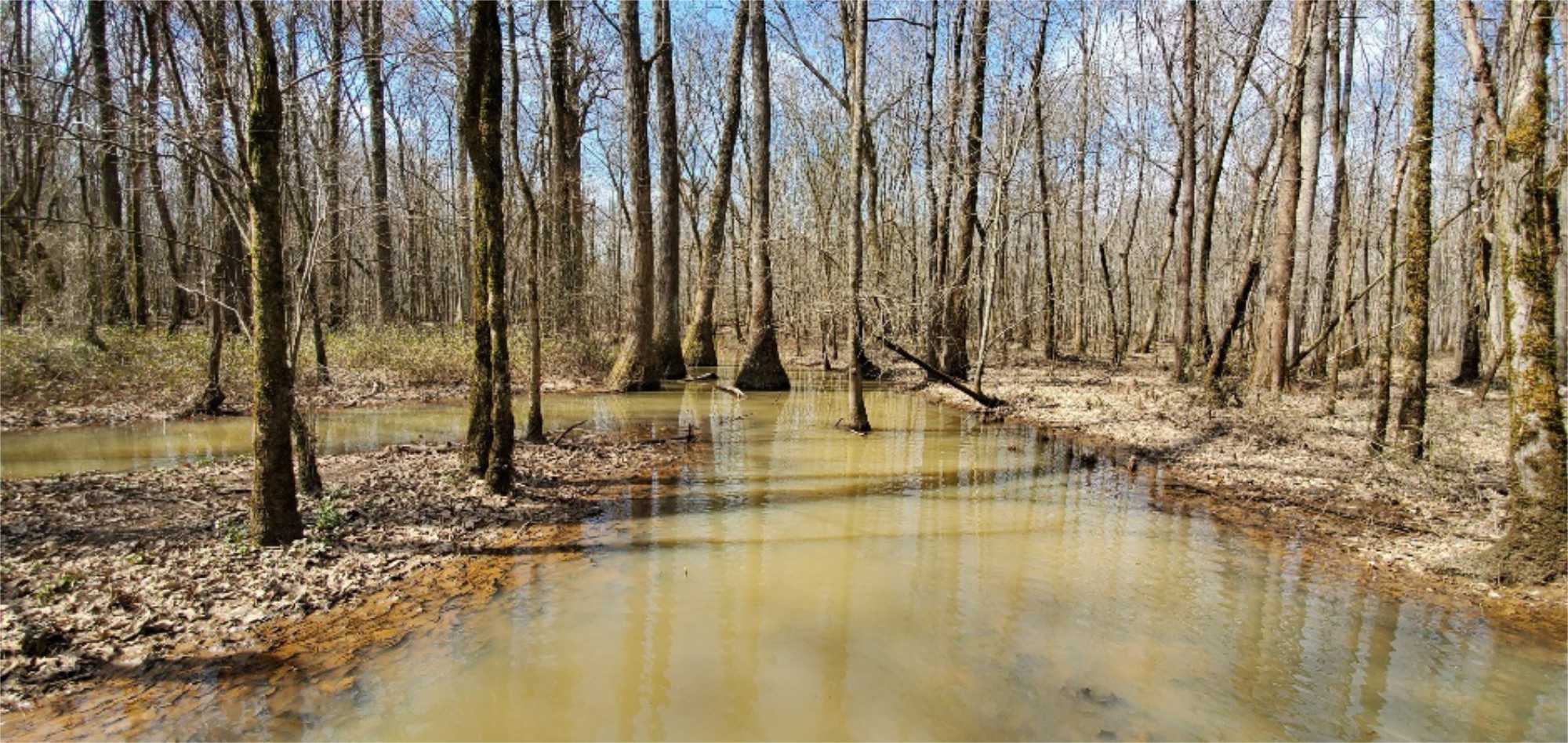 Wolf River Conservancy Awarded One Million Dollars for Conservation | Wolf River Conservancy