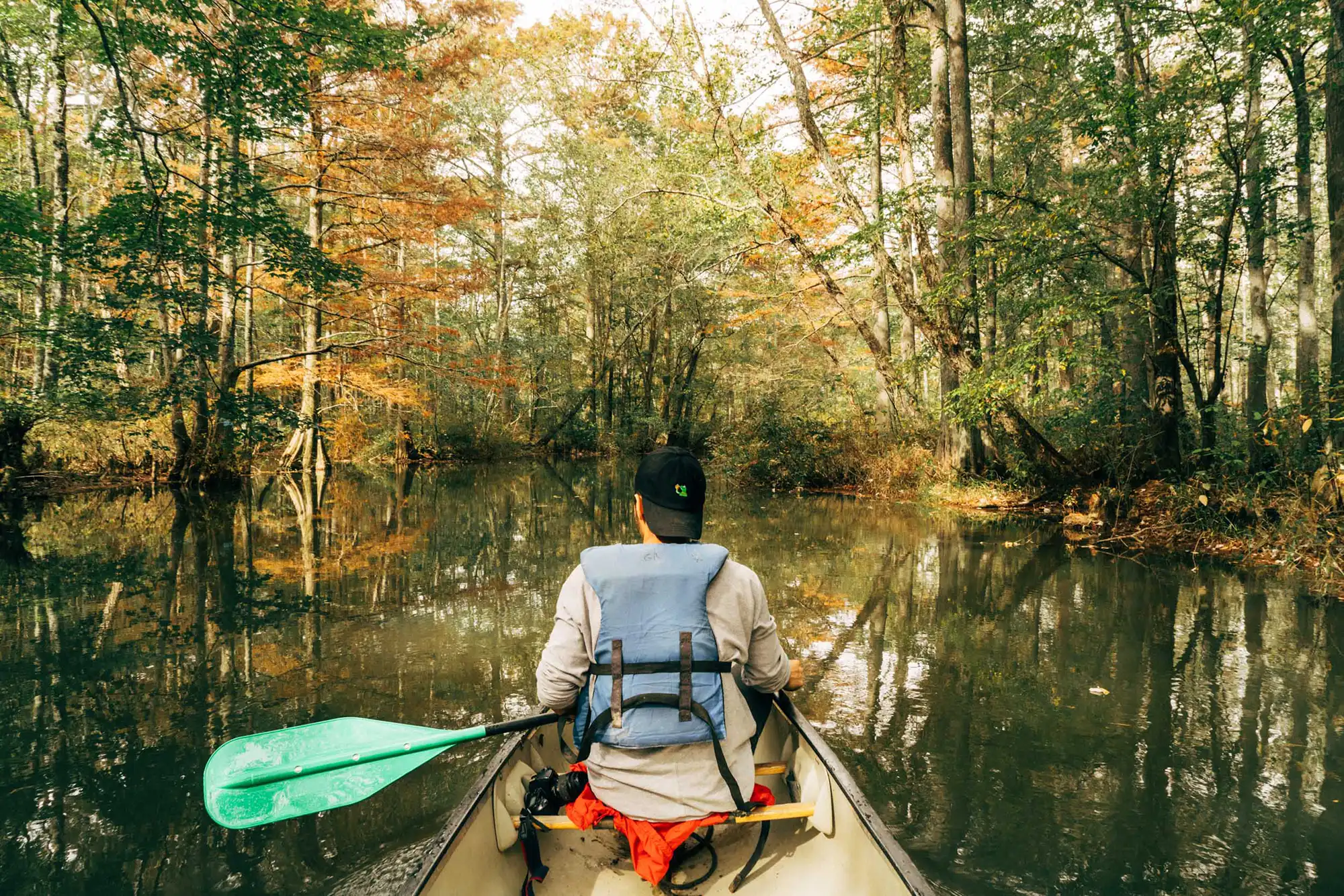 Wolf River Conservancy | Memphis, TN