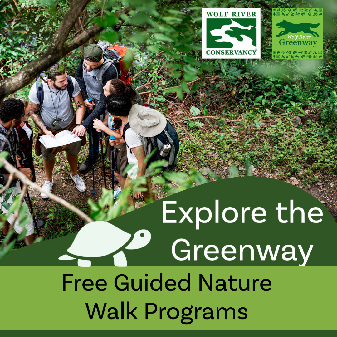 Explore The Greenway - Mushroom Meander at Wolf River Crossing | Wolf River Conservancy