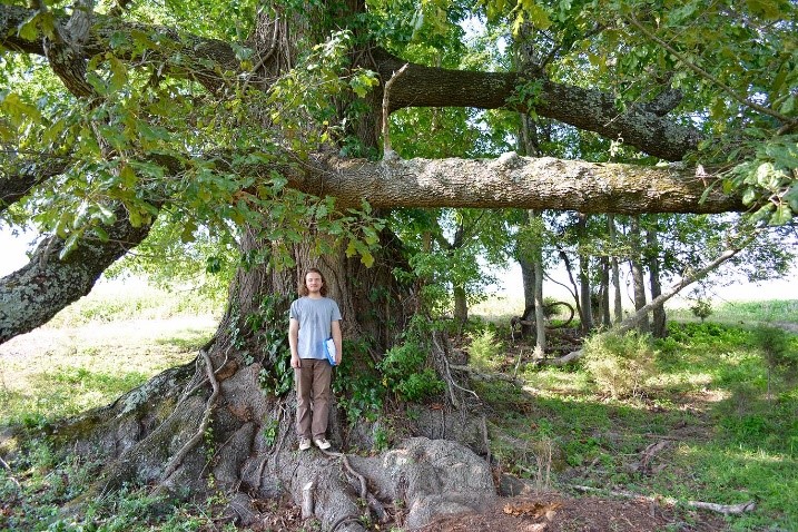 Champion Trees of Tennessee | Wolf River Conservancy