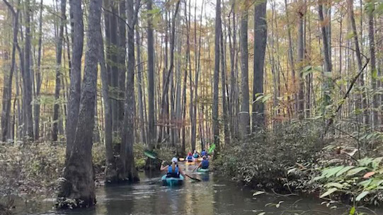 Join the Neshoba Circle Today... Preserve the Wolf for Countless ...