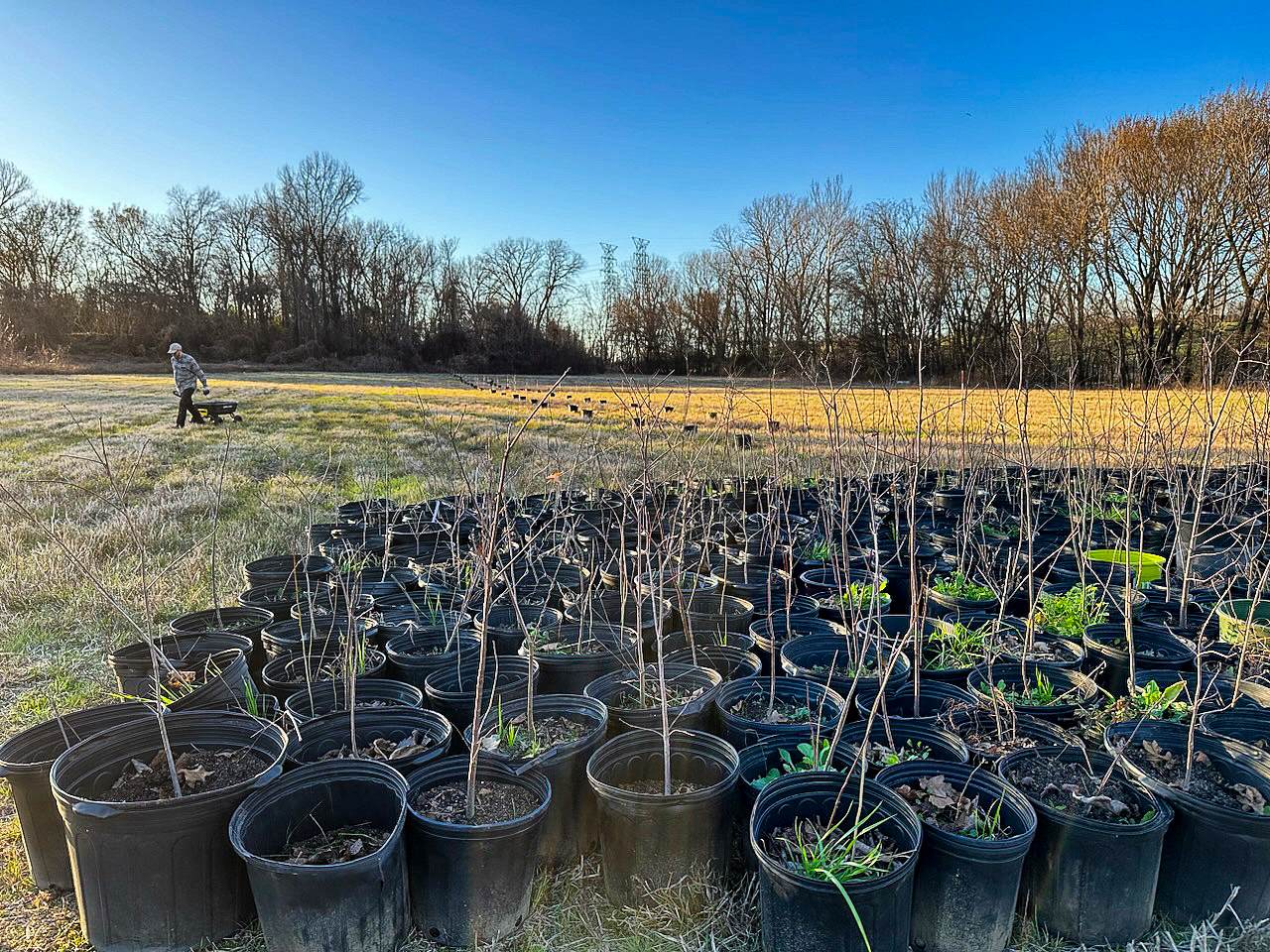 Join us for the 19th Annual Tree Planting on March 2! | Wolf River ...