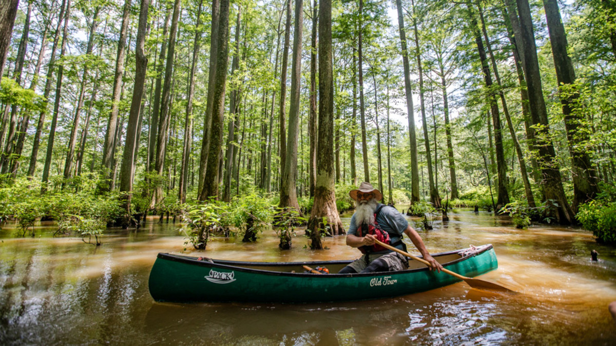 First Saturday Paddle April, Ghost Section | Wolf River Conservancy