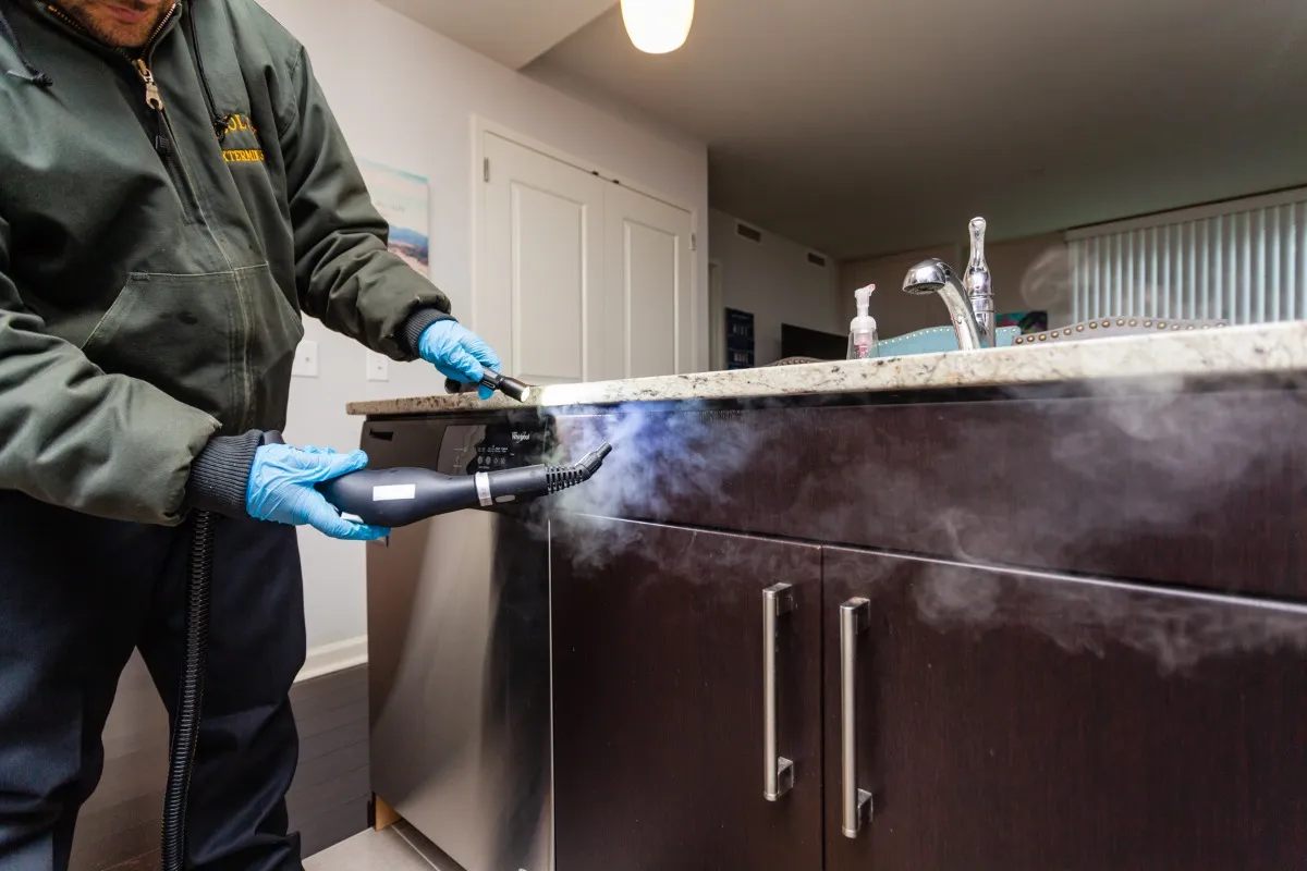 Exterminator Near Me - Ecology Exterminating