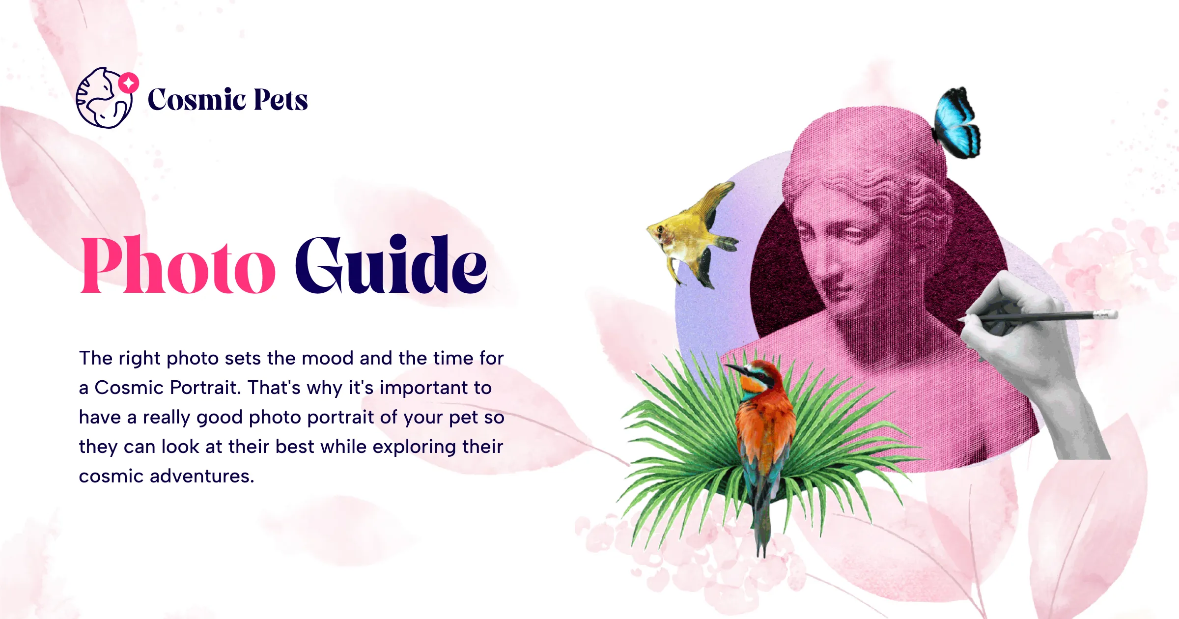 Cosmic Pets | Photo Guide