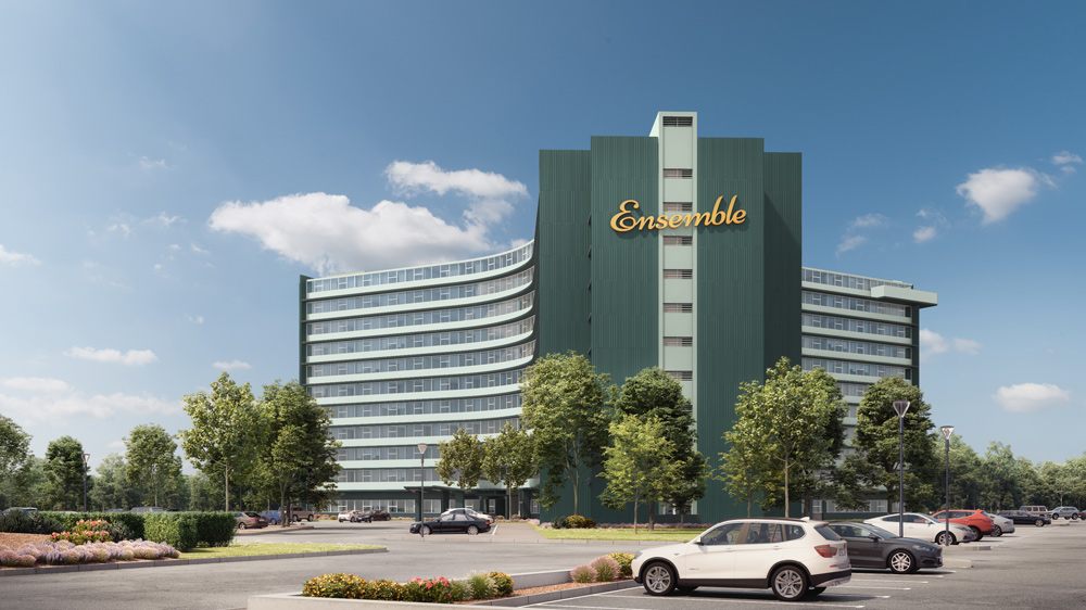 Our Expertise and Services - Tribu Digital Marketing and Advertising