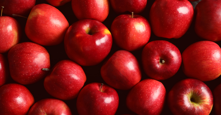 Optimize Carrier Selection Using Logistics Data | Intelligent Audit