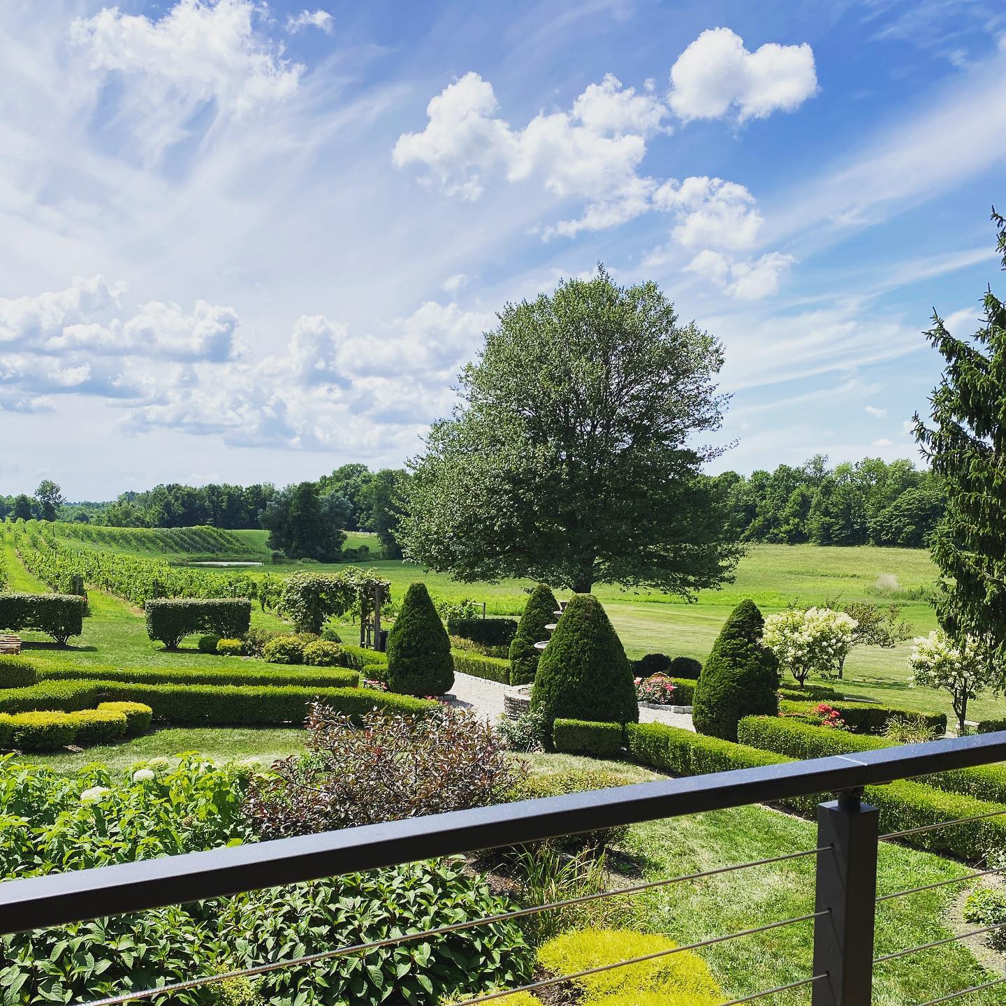 Home - Magnanini Winery, Restaurant & Distillery