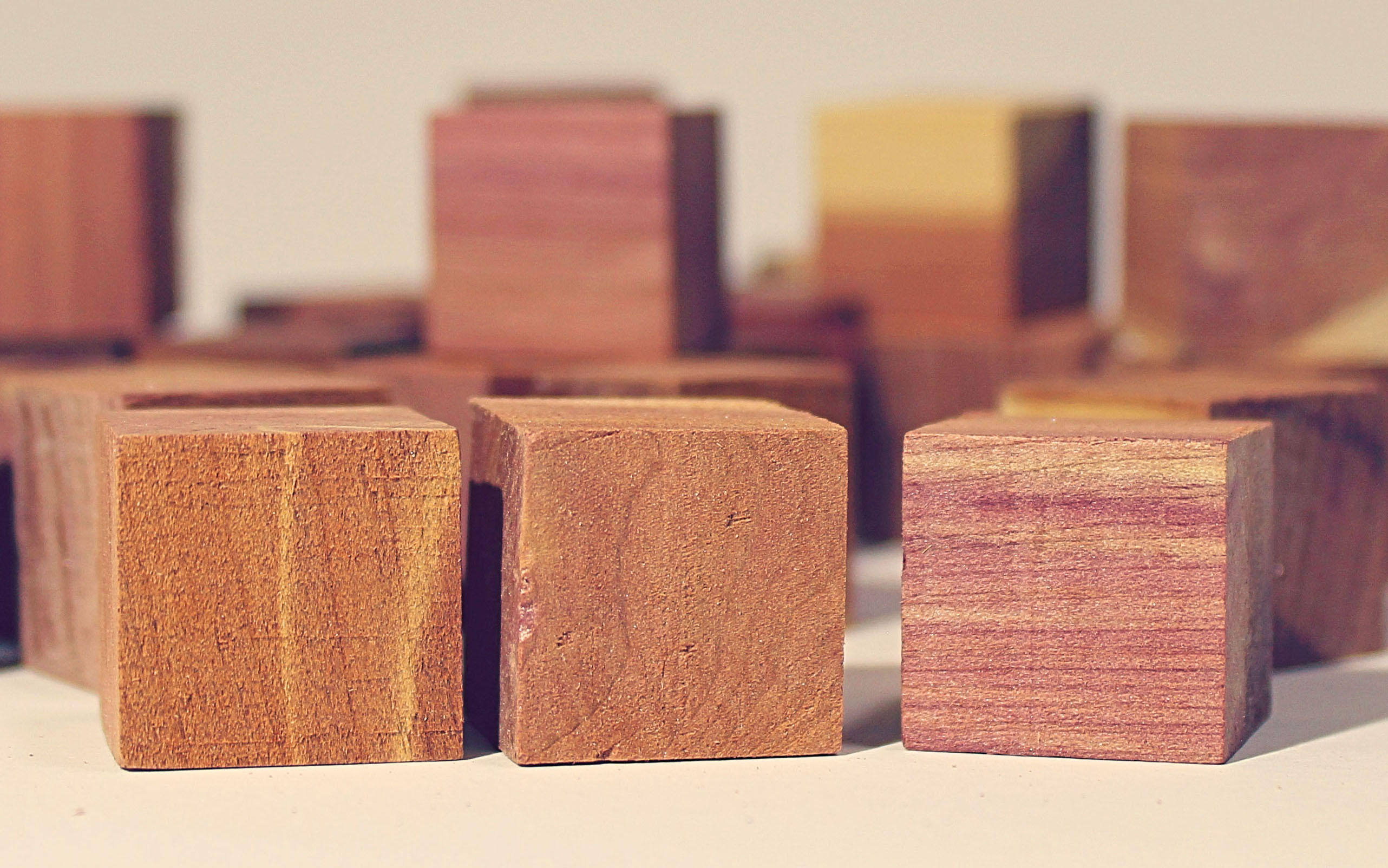 Cedarwood Benefits Beyond Moth Prevention: Aromatherapy and More