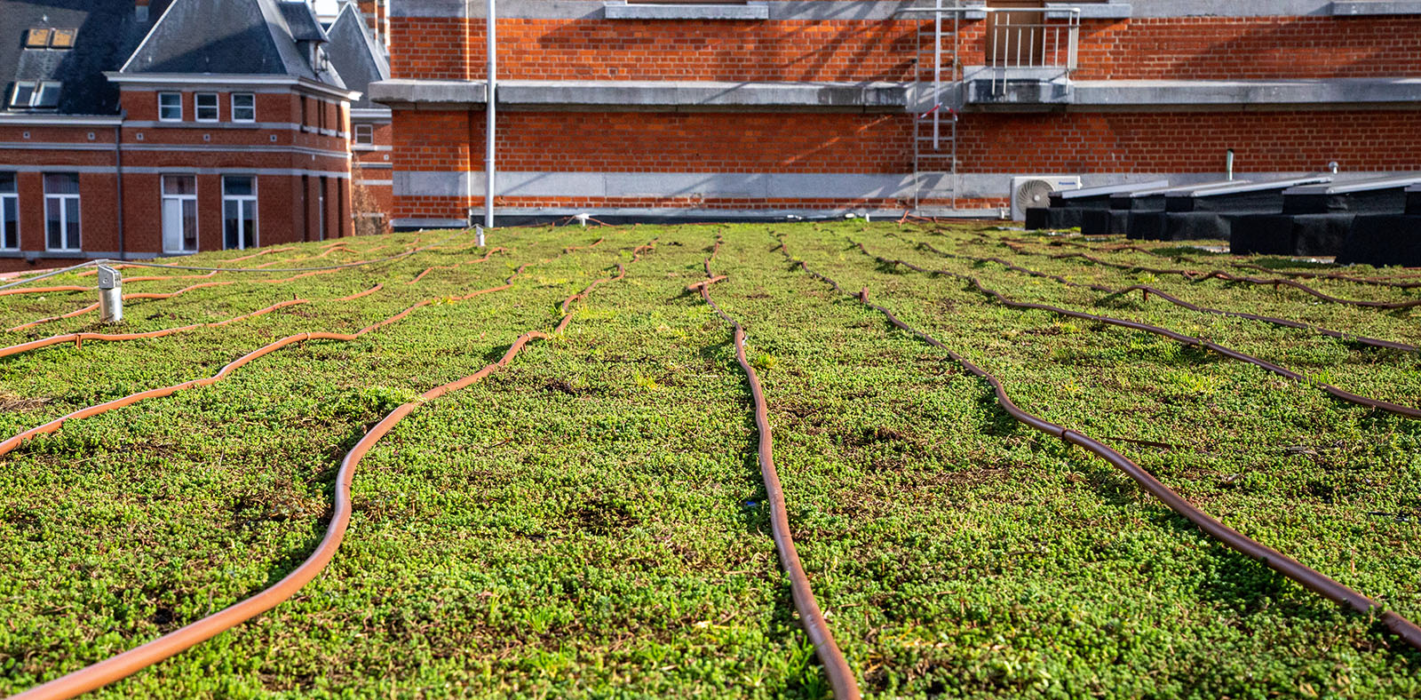 Tectum Group - Samen duurzaam bouwen aan dak en gevel