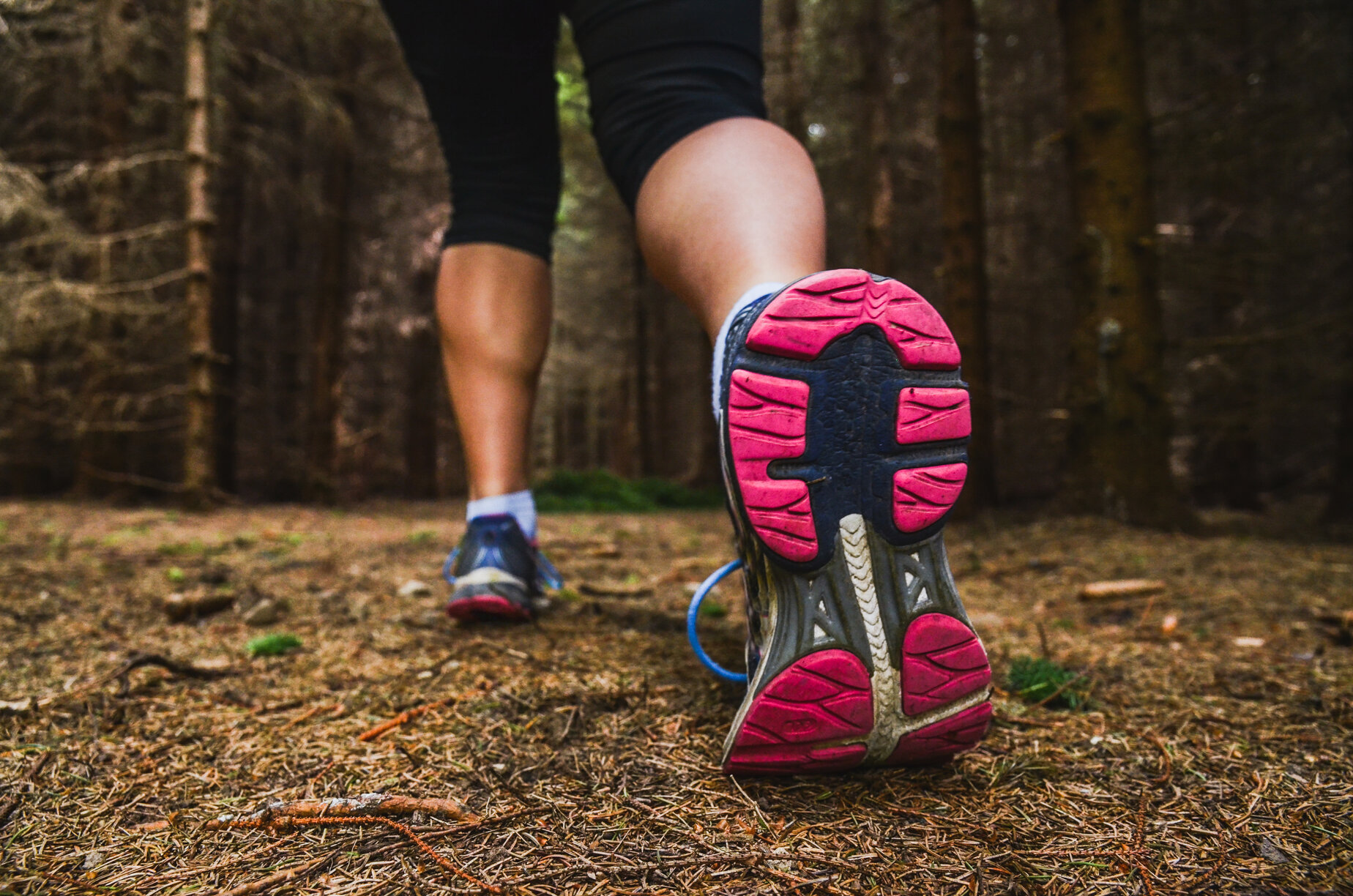 A Beginner’s Guide to Running Lingo | None To Run