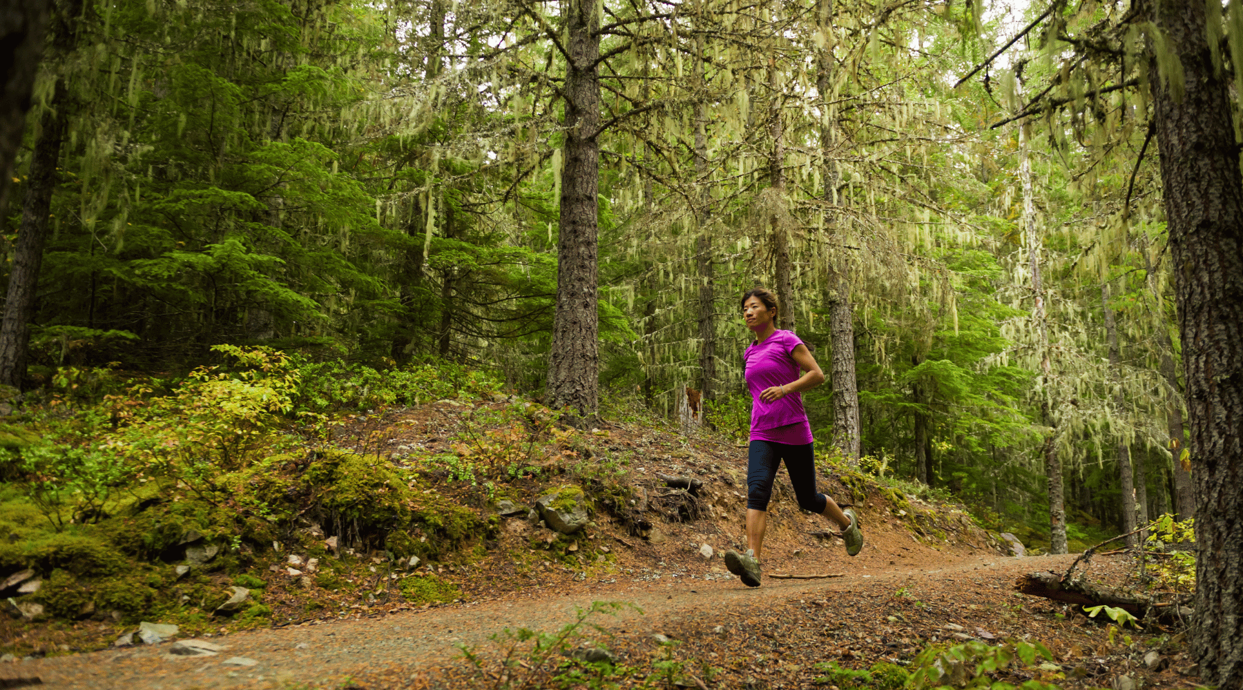 How to Structure Your Next Run (Workout Roadmap for Beginner Runners ...