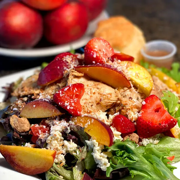 Berry Fresh Cafe Photo Gallery + The People + The Food