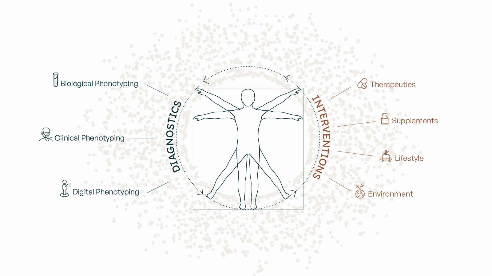 Our Healthy Longevity Offering | Chi Longevity