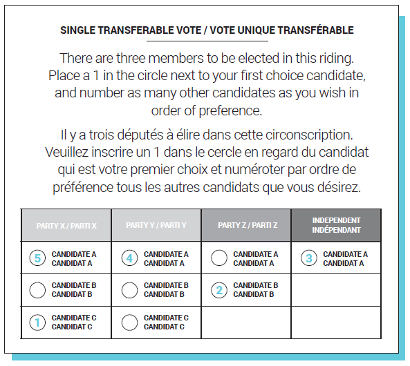 What We Talk About When We Talk About Electoral Reform | Samara Centre ...