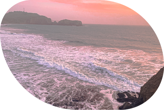 Sol Health | Remote Mental Health for College Students