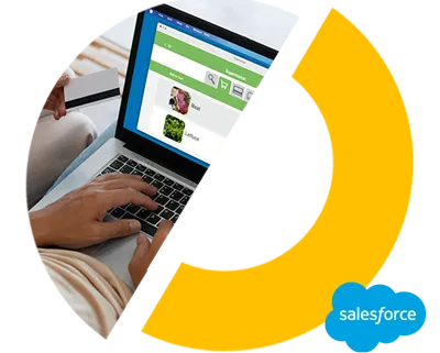 Salesforce Professional Services | 4x GMV Growth