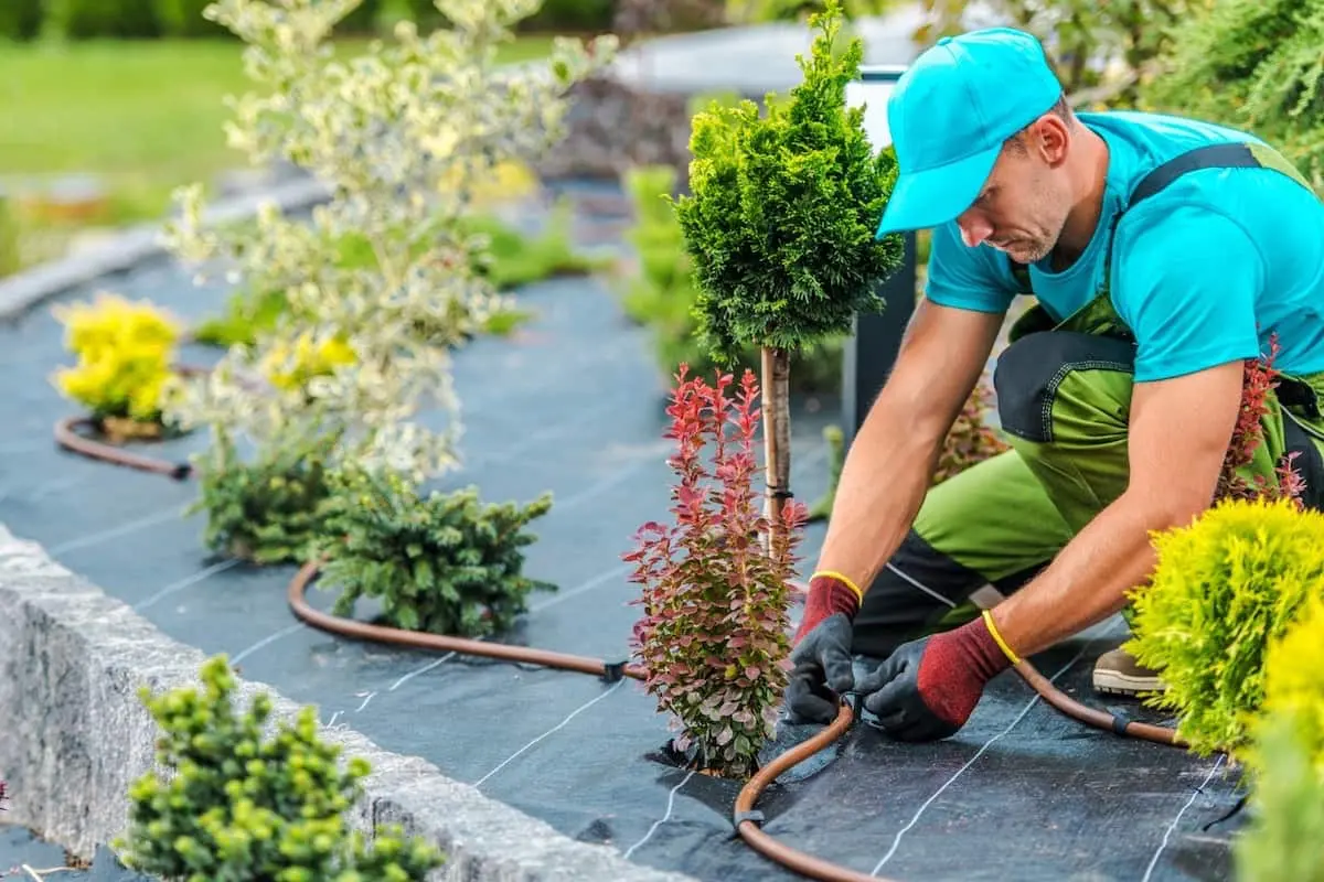 How to Get a Landscaping License | EZ Surety Bonds