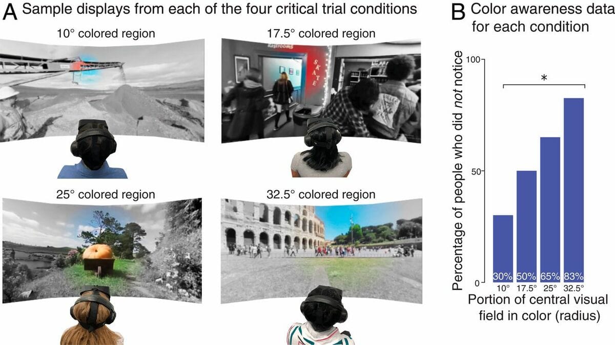 How 'collective illusions' influence decision making