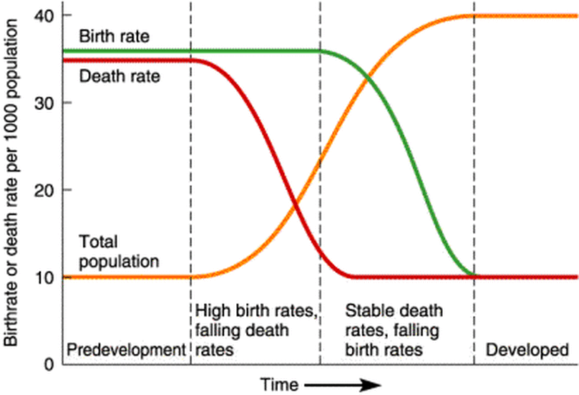 Causal Loop Diagrams