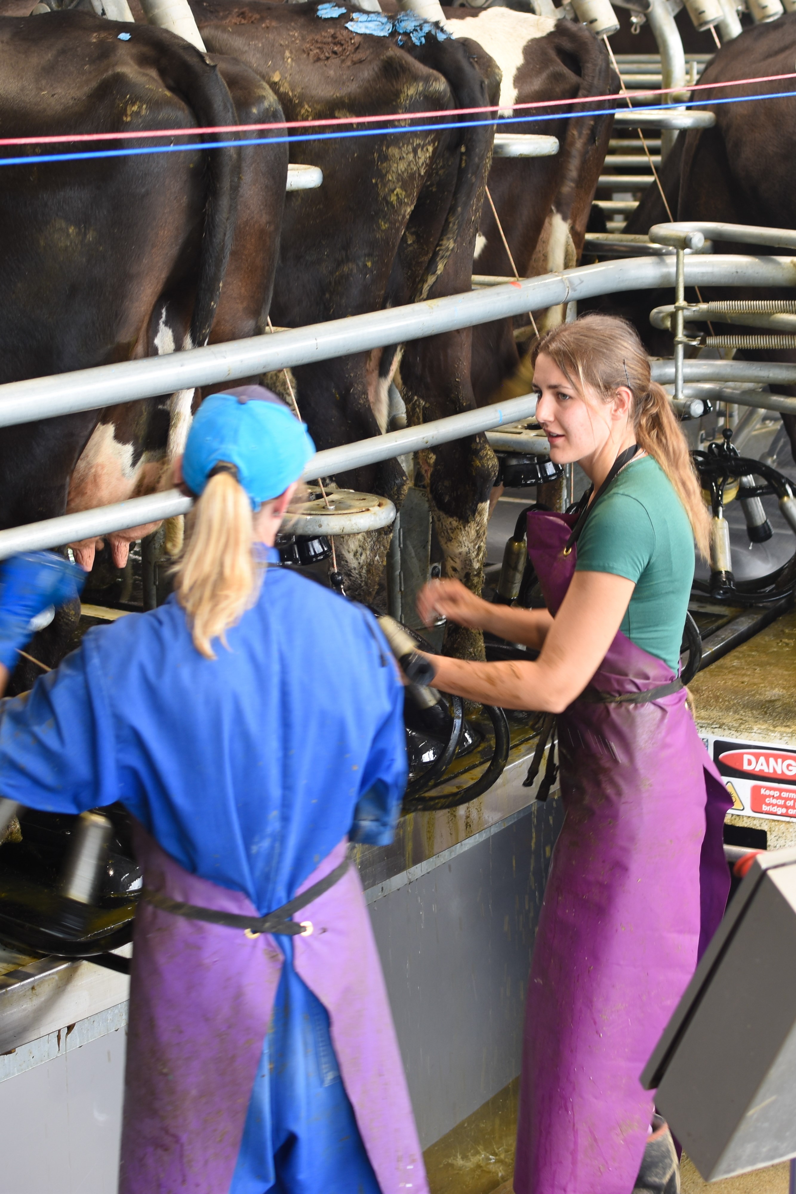 Agriculture Jobs NZ | Work in New Zealand | Ag Work NZ