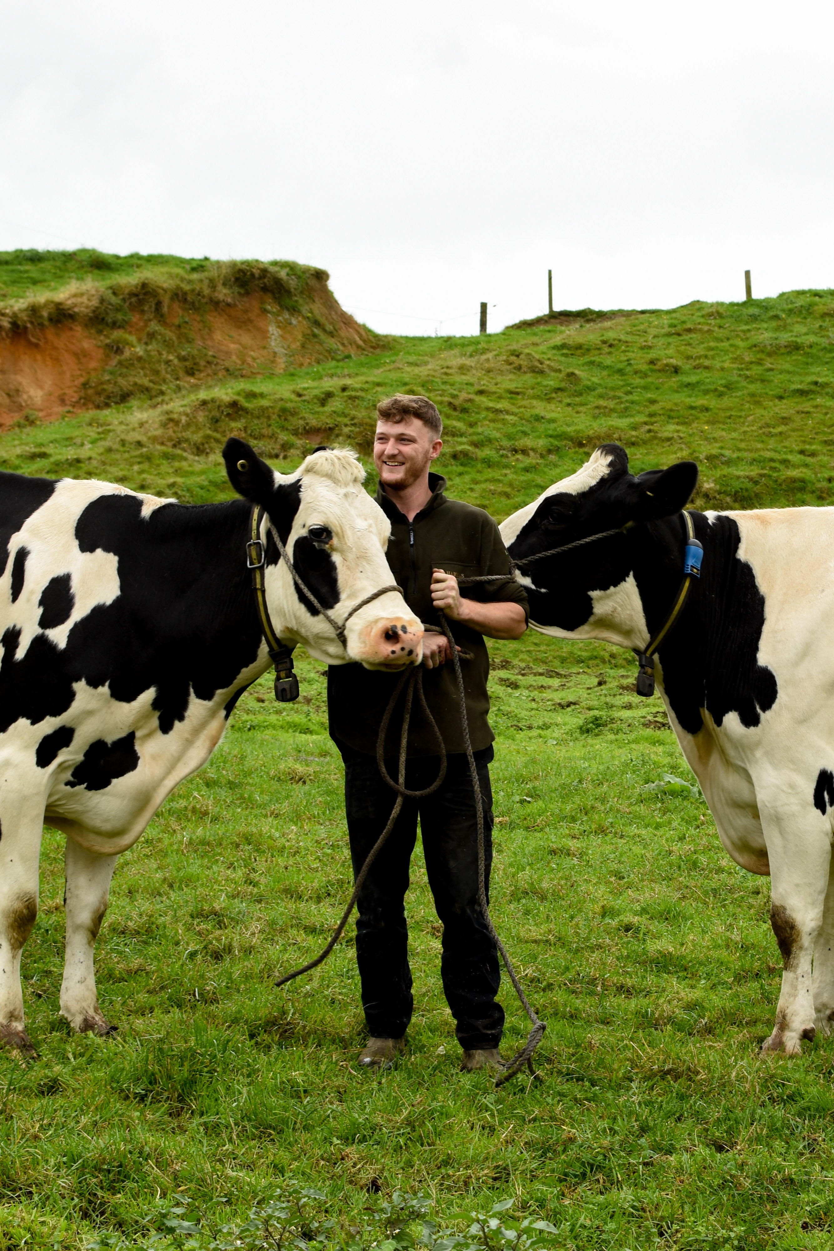 Ag Work NZ | Agricultural Recruitment NZ