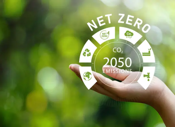 Top Sustainable Delivery Trends For 2024