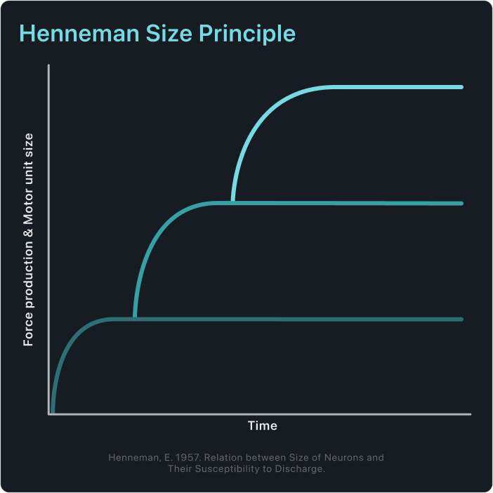 Henneman's Size Principle - Make huge strength & power gains
