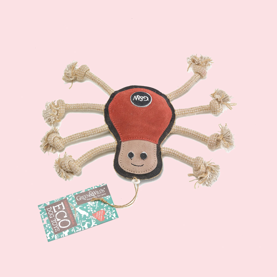 Spike the Spider, Eco toy | Penny & Co Dog Essentials