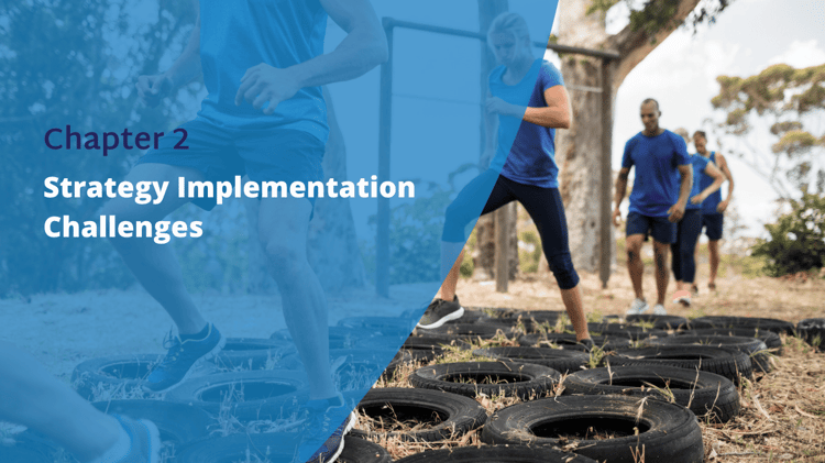 Strategy Implementation: The Authoritative Guide