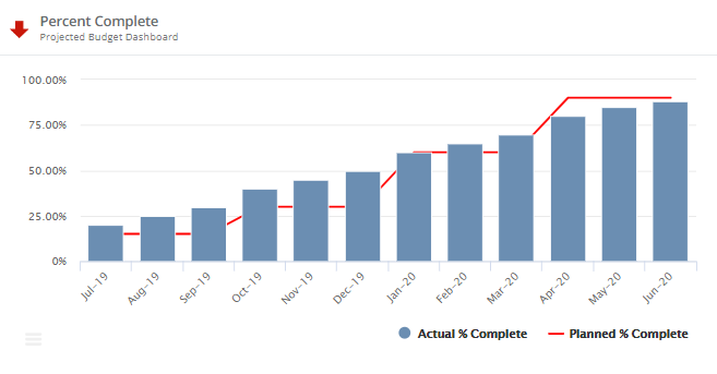 Project Budget Dashboard | ClearPoint Strategy