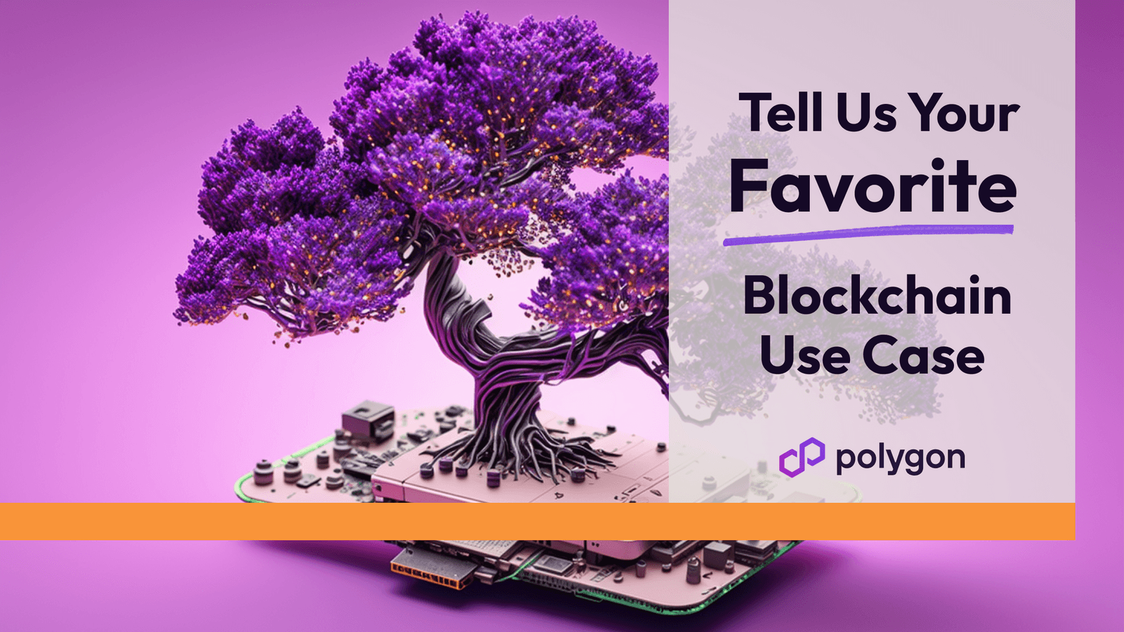 Polygon Ventures: Backing the Bold