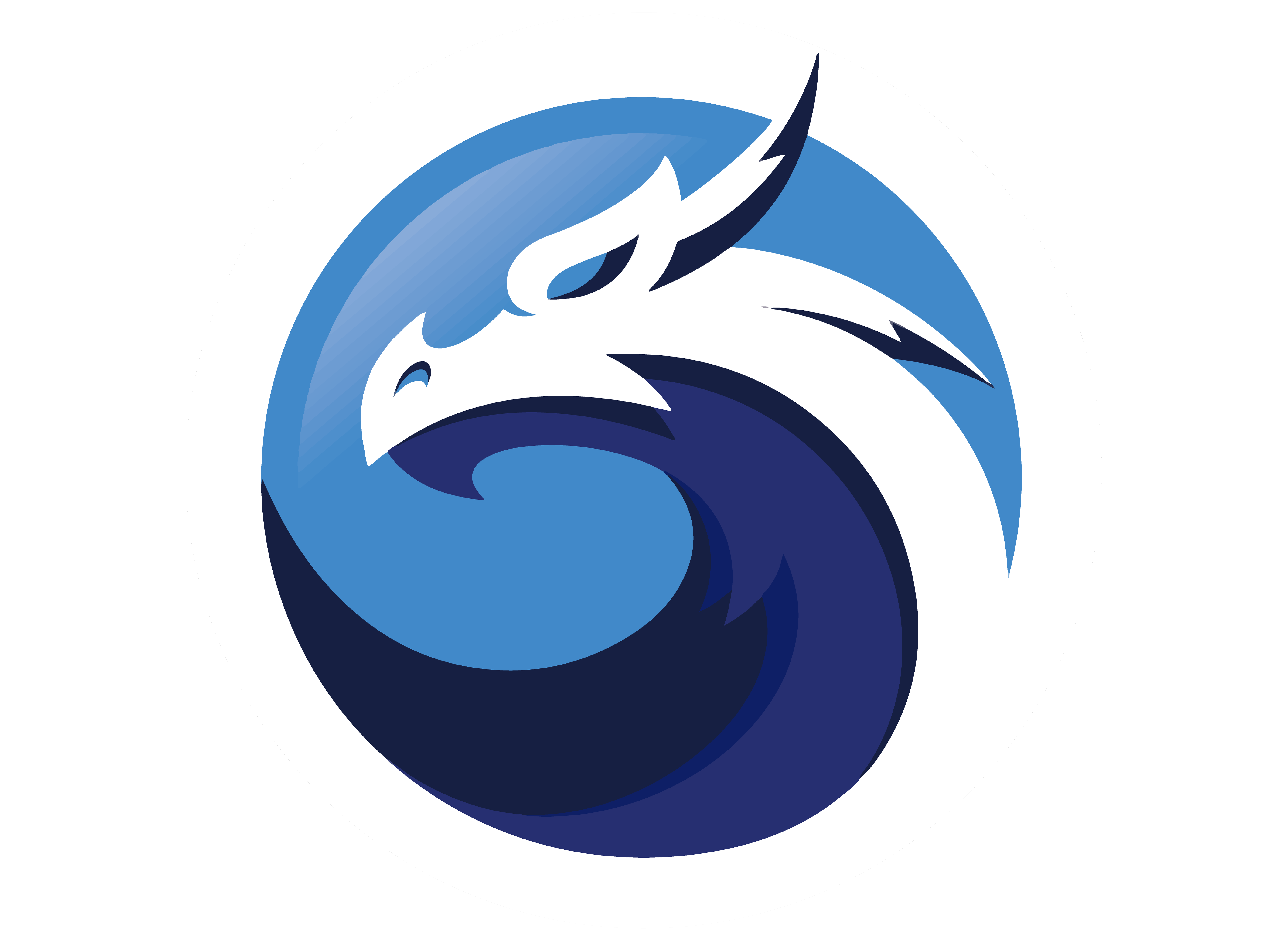 Polygon Ecosystem Explorer