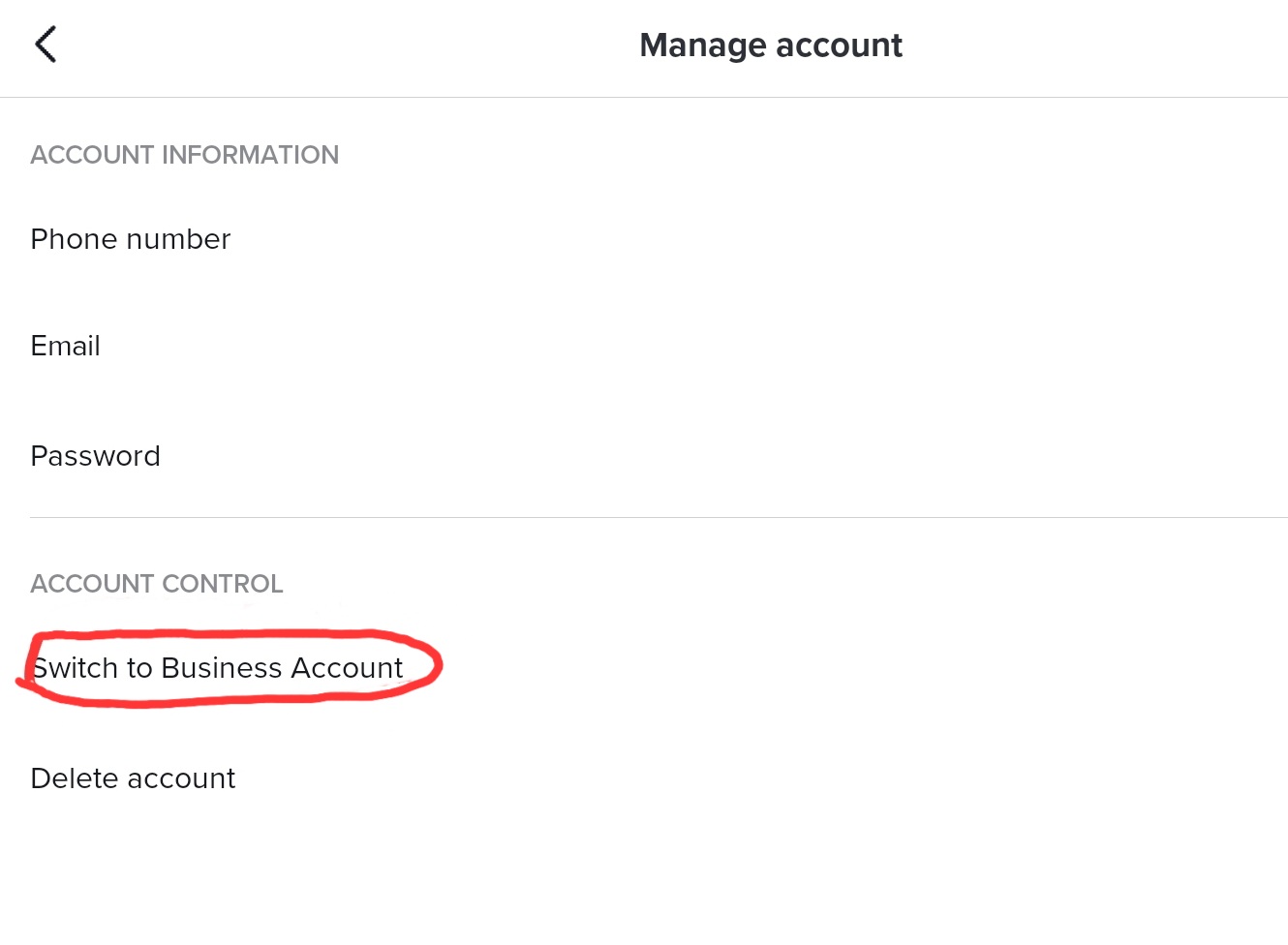 How to Find Out When to Post on TikTok for Peak Engagement | Hype Blog