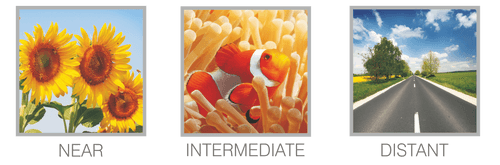 Supra Phob Regen - Appasamy Hydrophobic Acrylic Lens/ Surgical IOL