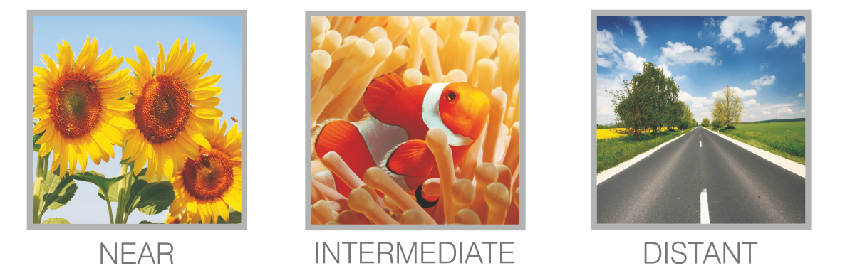 Supra Phob Regen - Appasamy Hydrophobic Acrylic Lens/ Surgical IOL