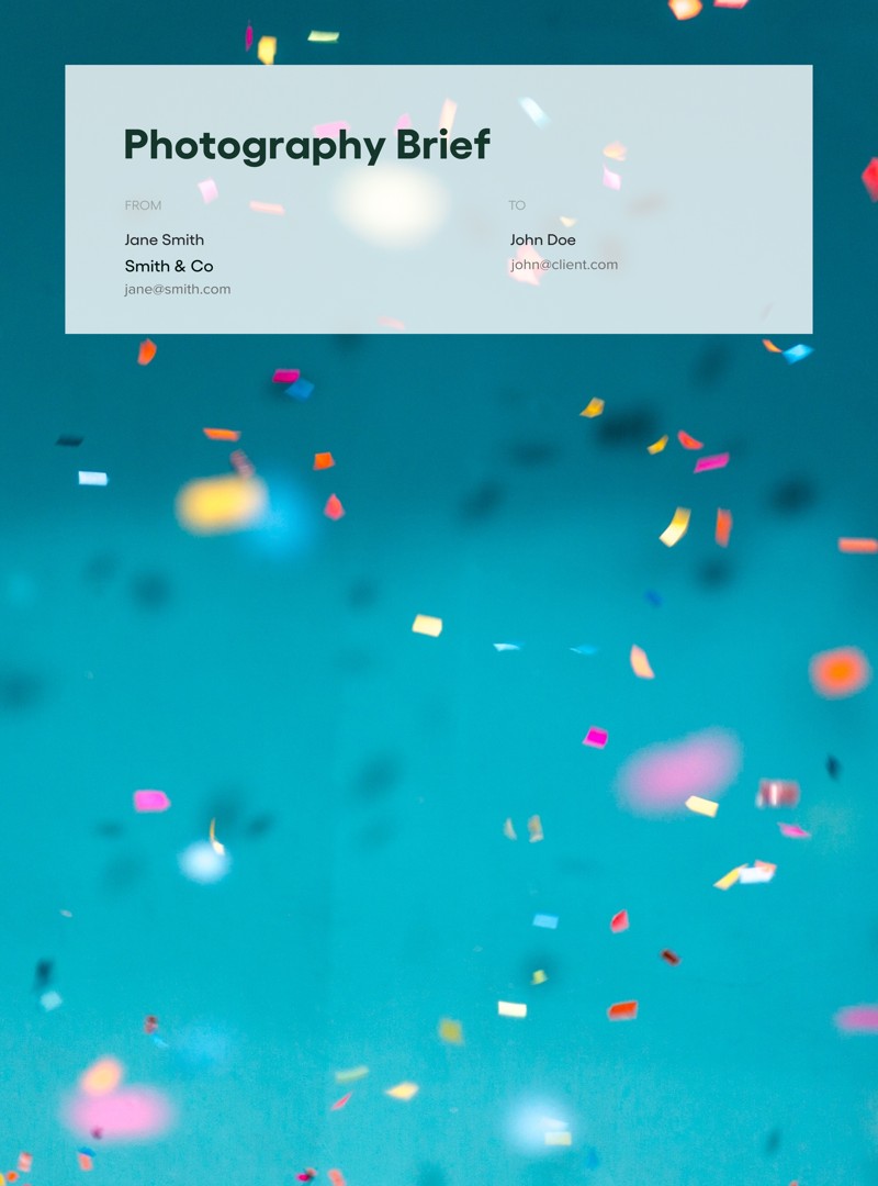 Free Photography Brief - Bonsai