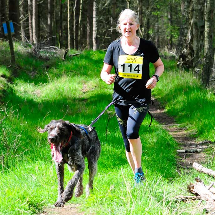 Our Trainers | Bearsden Dog Training Club